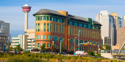 Outcomes of the DI's Housing and Resource Day - Calgary Drop-In Centre ...